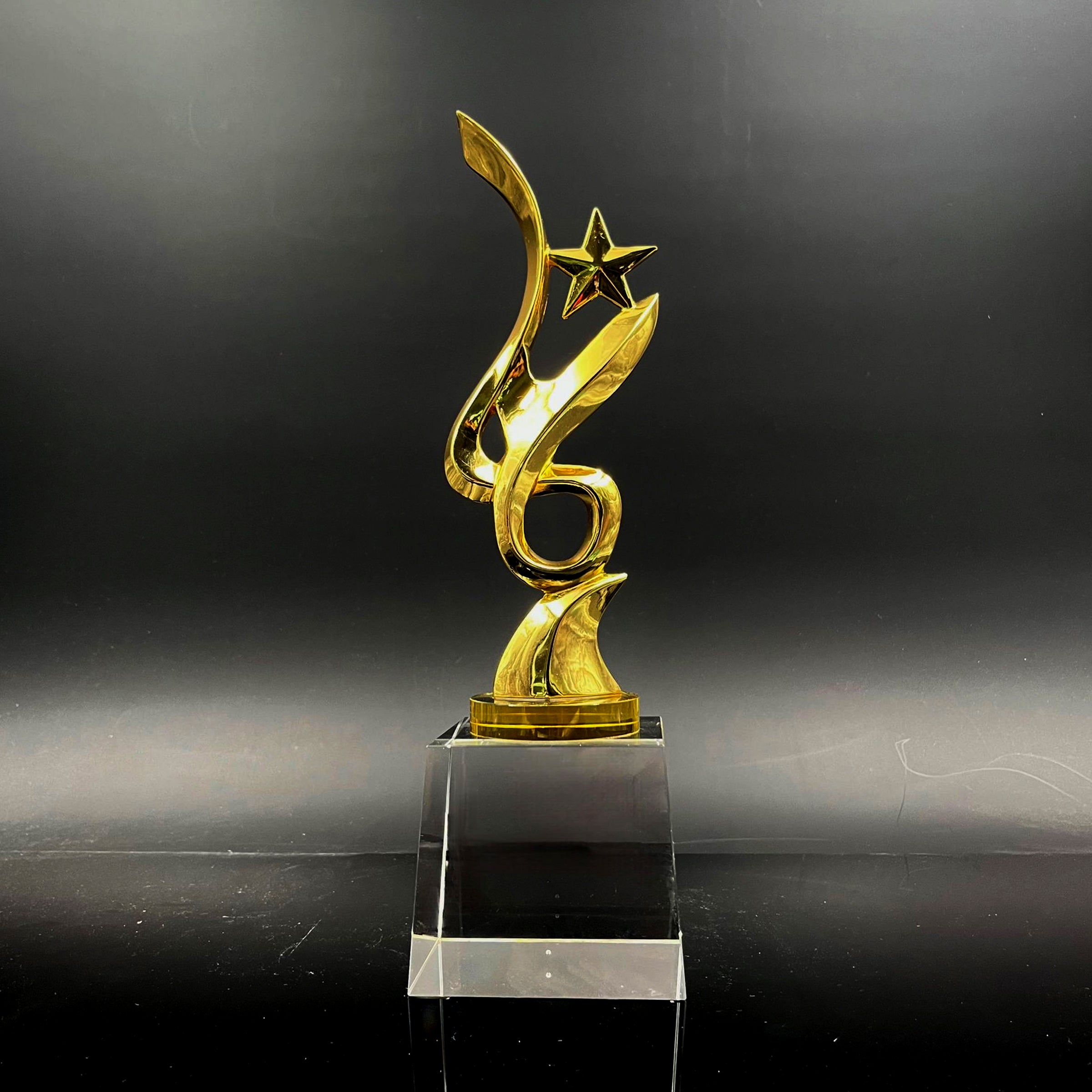 Golden Carvam Stellar Trophy Award – Etch