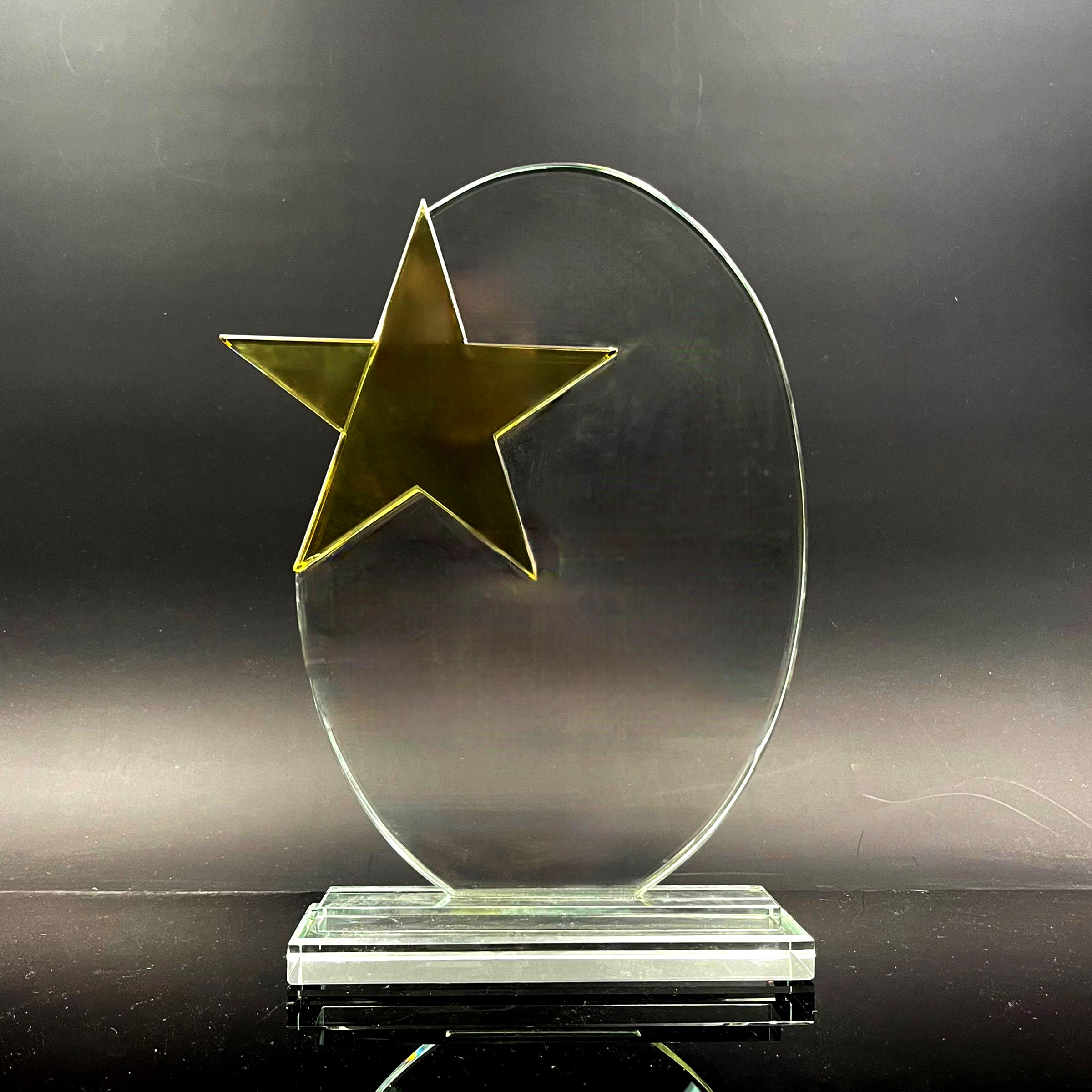 Oval Golden Star Trophy Award – Etch