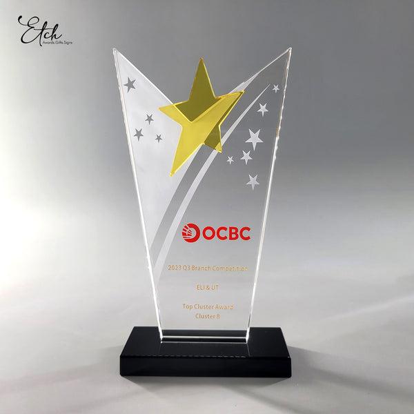 Star Performer Award – Etch